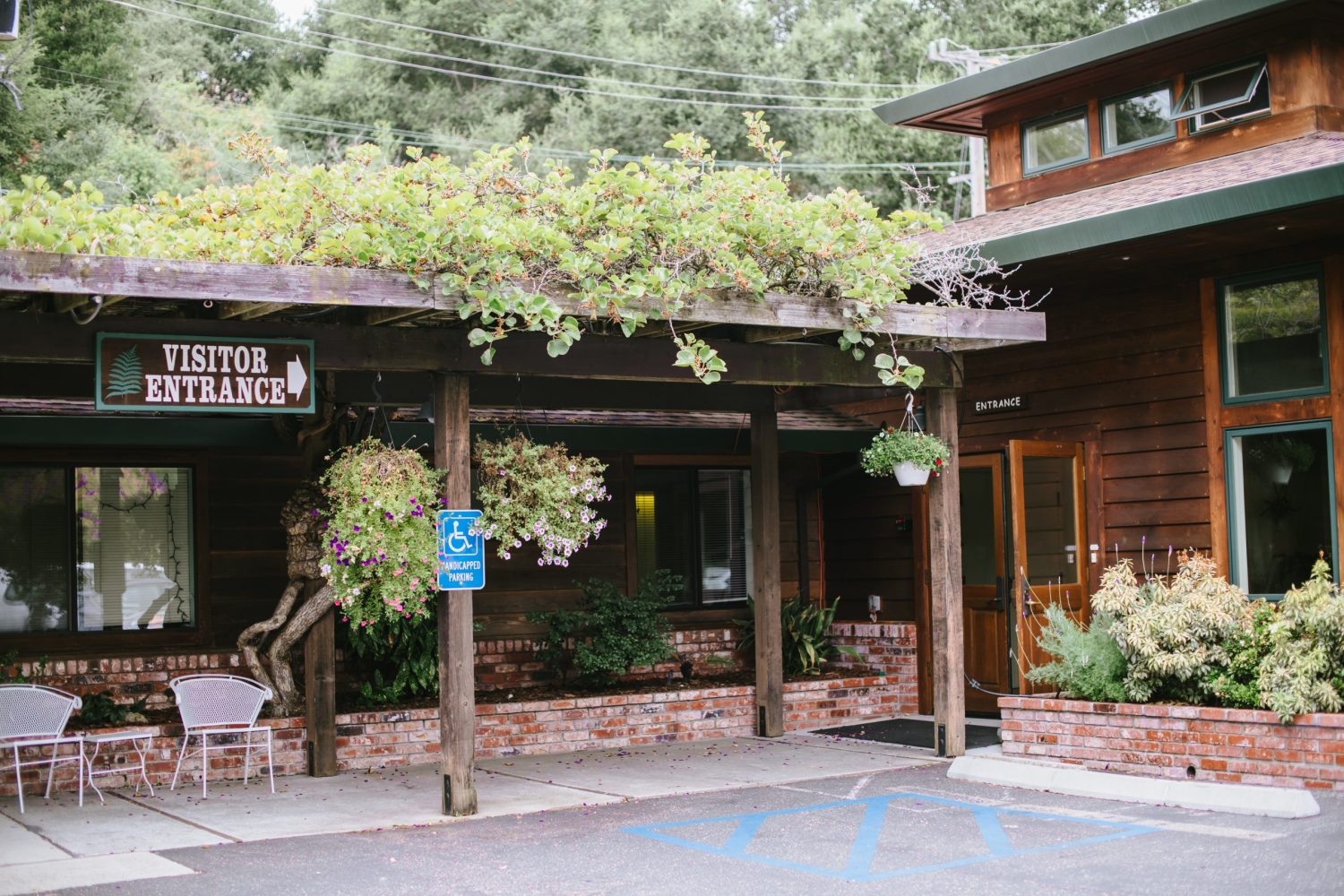 Gallery - Fern Lodge